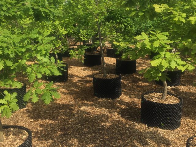 Homepage - Expedition Engineering